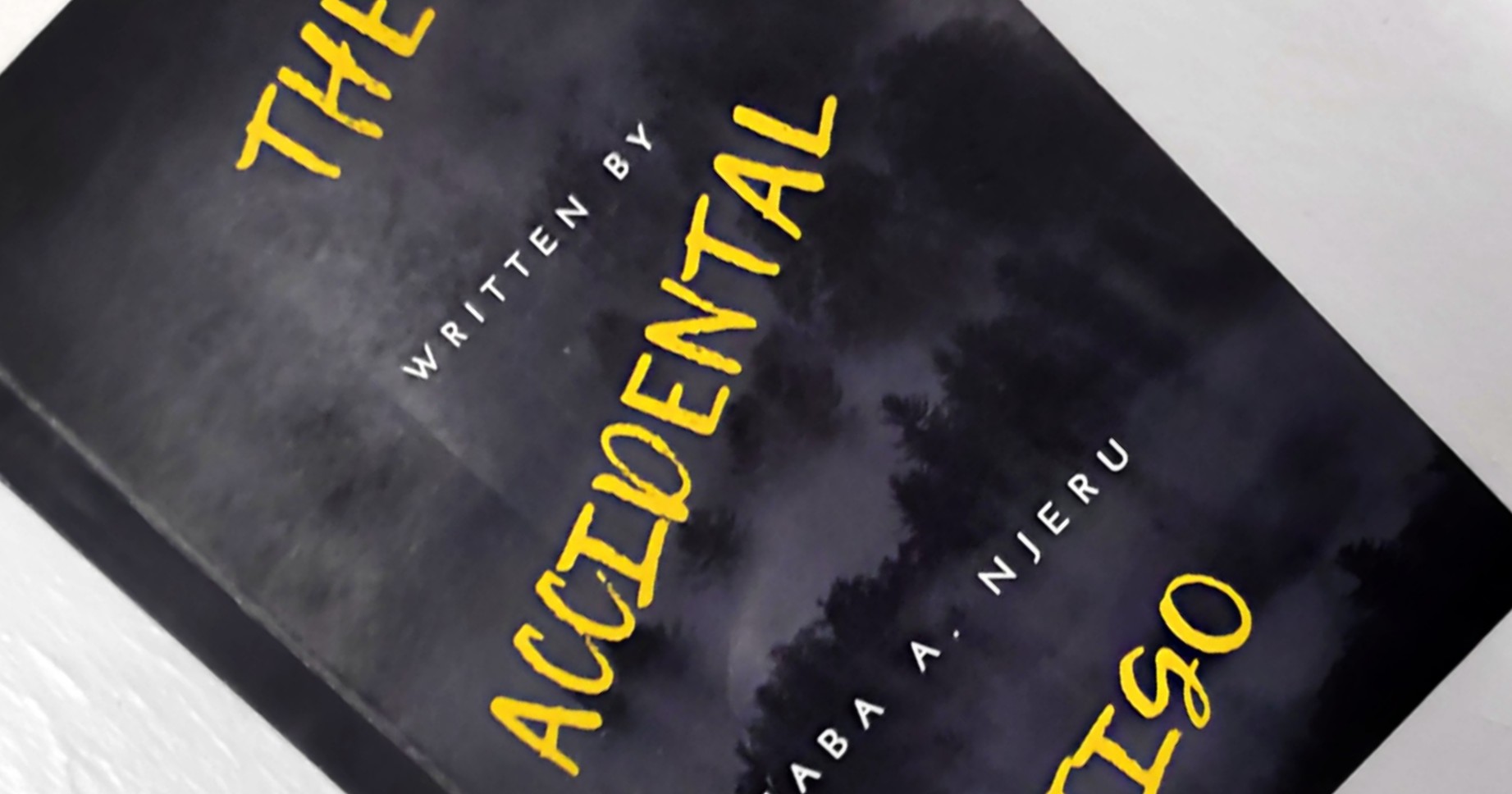 Book Review: The Accidental Vertigo by Kiaba A. Njeru - That Girl Relatable